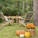 A Casual Fall Outdoor Gathering - Cali Girl In A Southern World